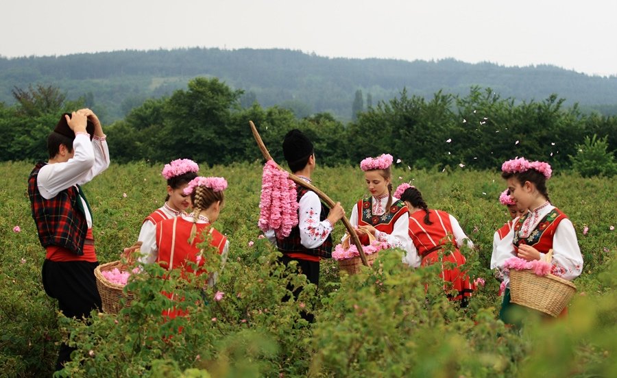 dolinatanarozite.alle.bg